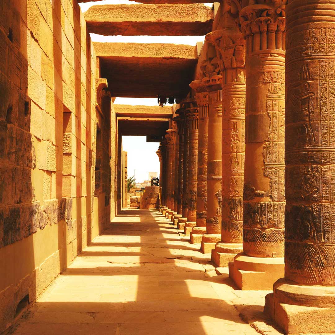 Thank You Egypt - eBiz Travel